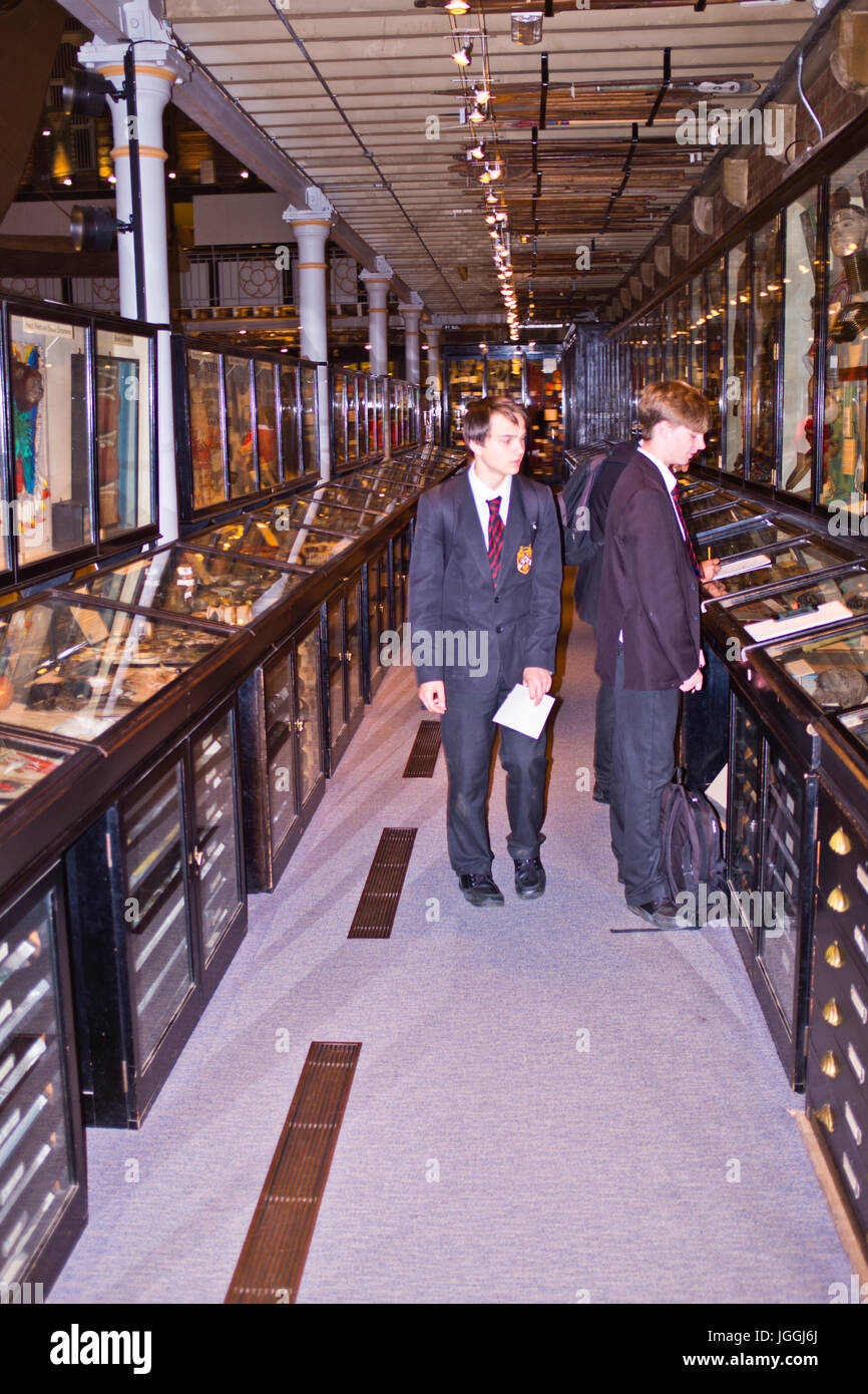 Pitt River Museum,Collection of Objects picked up over the last Century ...