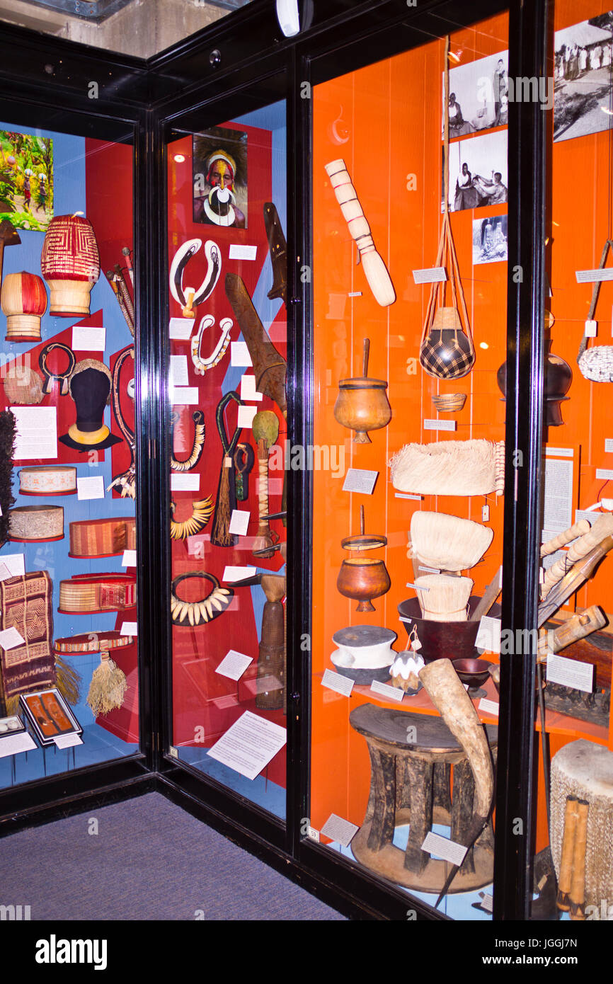 Pitt River Museum,Collection of Objects picked up over the last Century ...