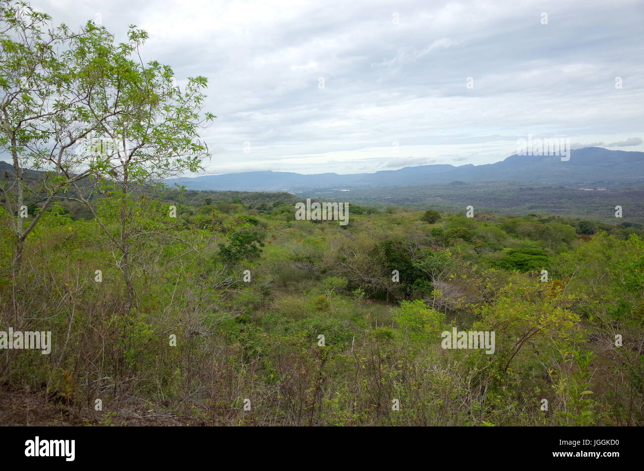 Reserva Natural Miraflor, a popular tourist destination near Esteli in ...