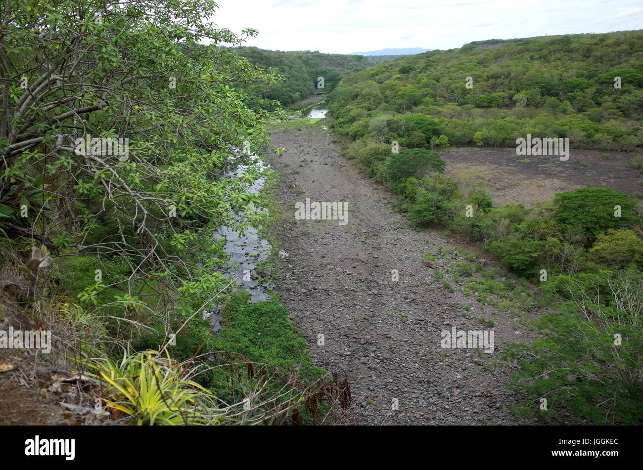 A river running through the Reserva Natural Miraflor, a popular tourist ...