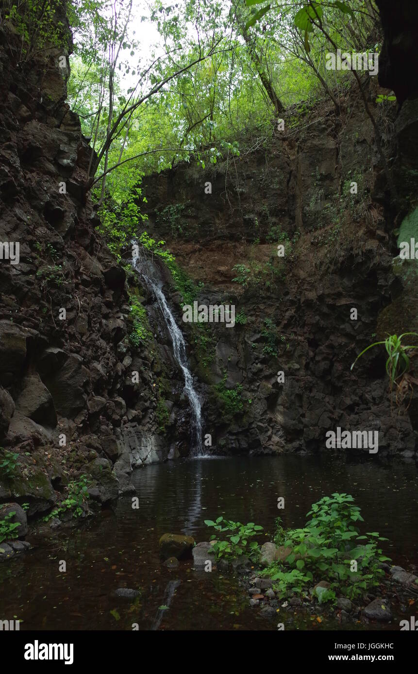A waterfall inside the cloud forest in the Reserva Natural Miraflor, a ...