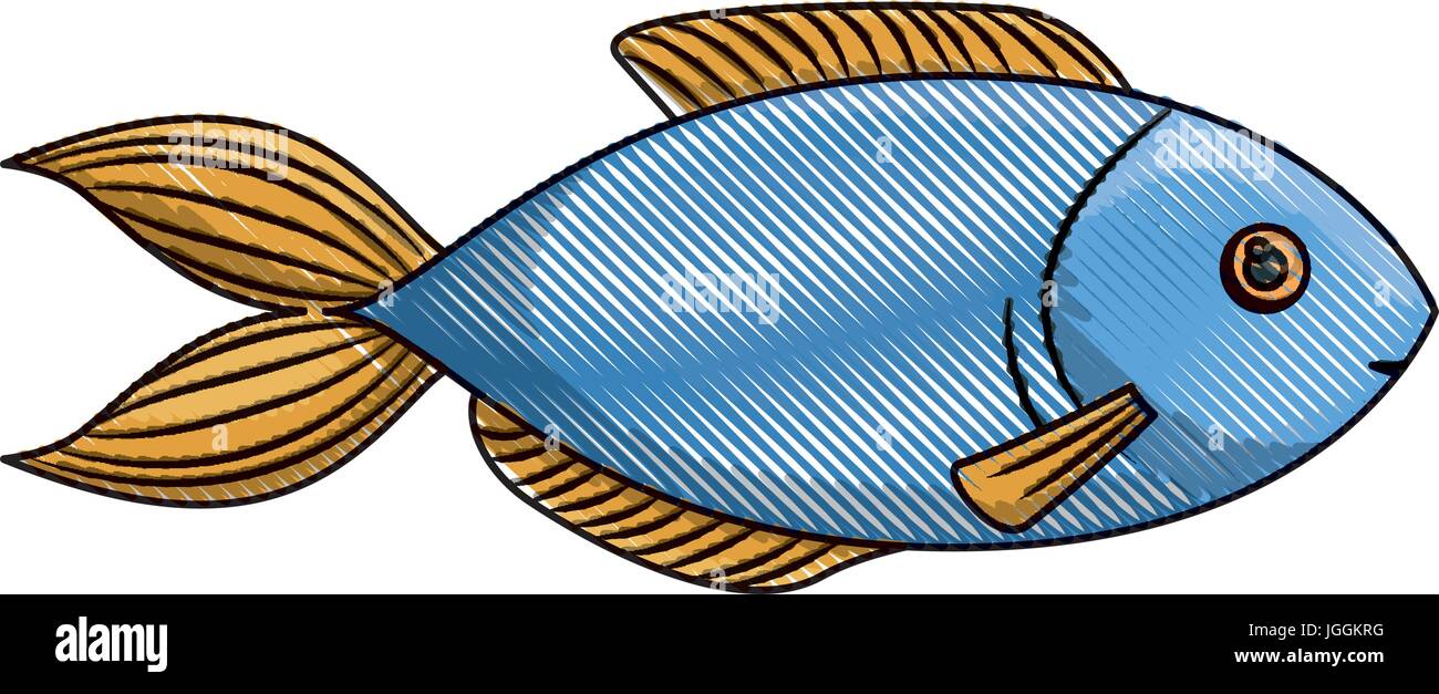 colored pencil silhouette of blue trout fish Stock Vector Image & Art ...