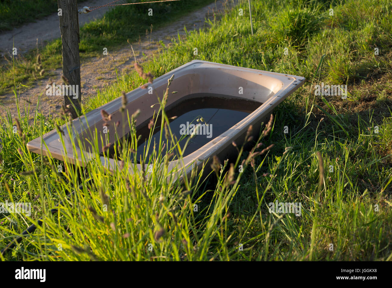 Old bath being used as drinking water for cattle Stock Photo - Alamy