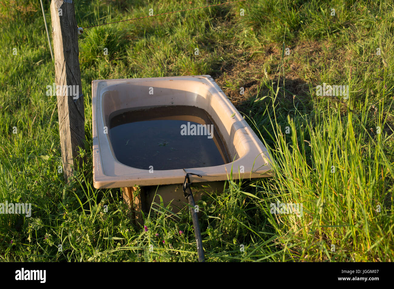 Bath for cattle hi-res stock photography and images - Alamy