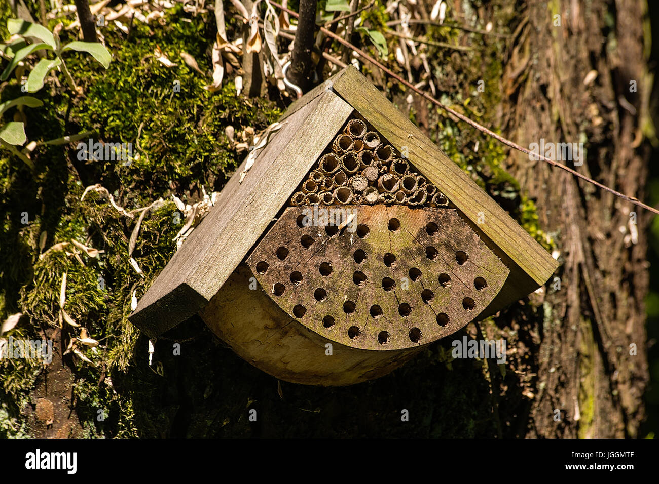 Wooden home for bees on the tree Stock Photo - Alamy