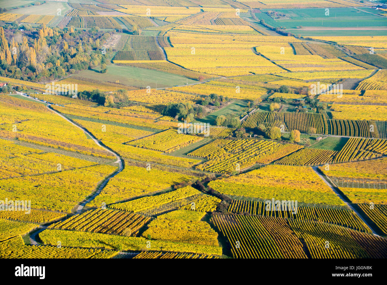 Alsace france fields hi-res stock photography and images - Alamy