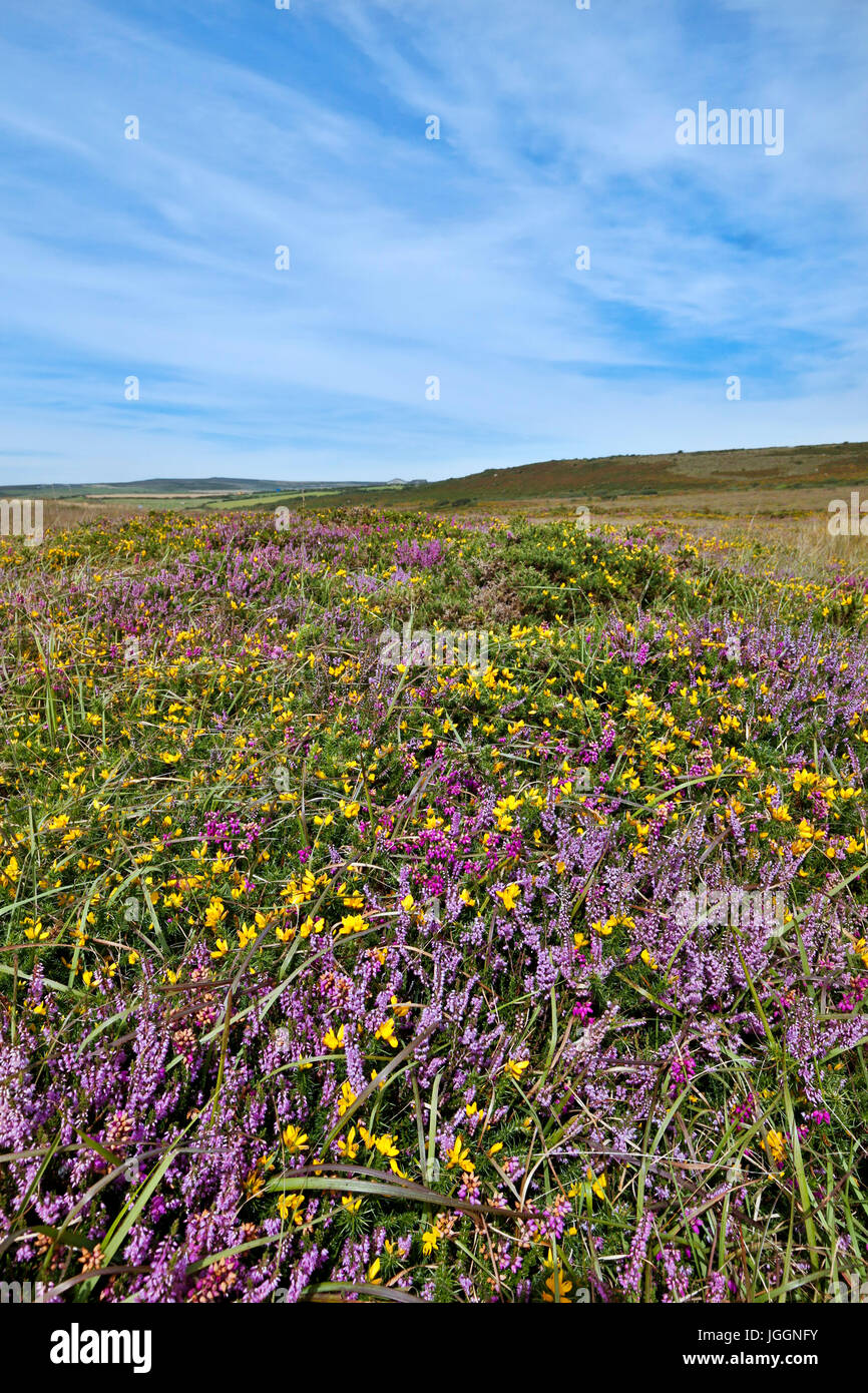 Lower farm hi-res stock photography and images - Alamy
