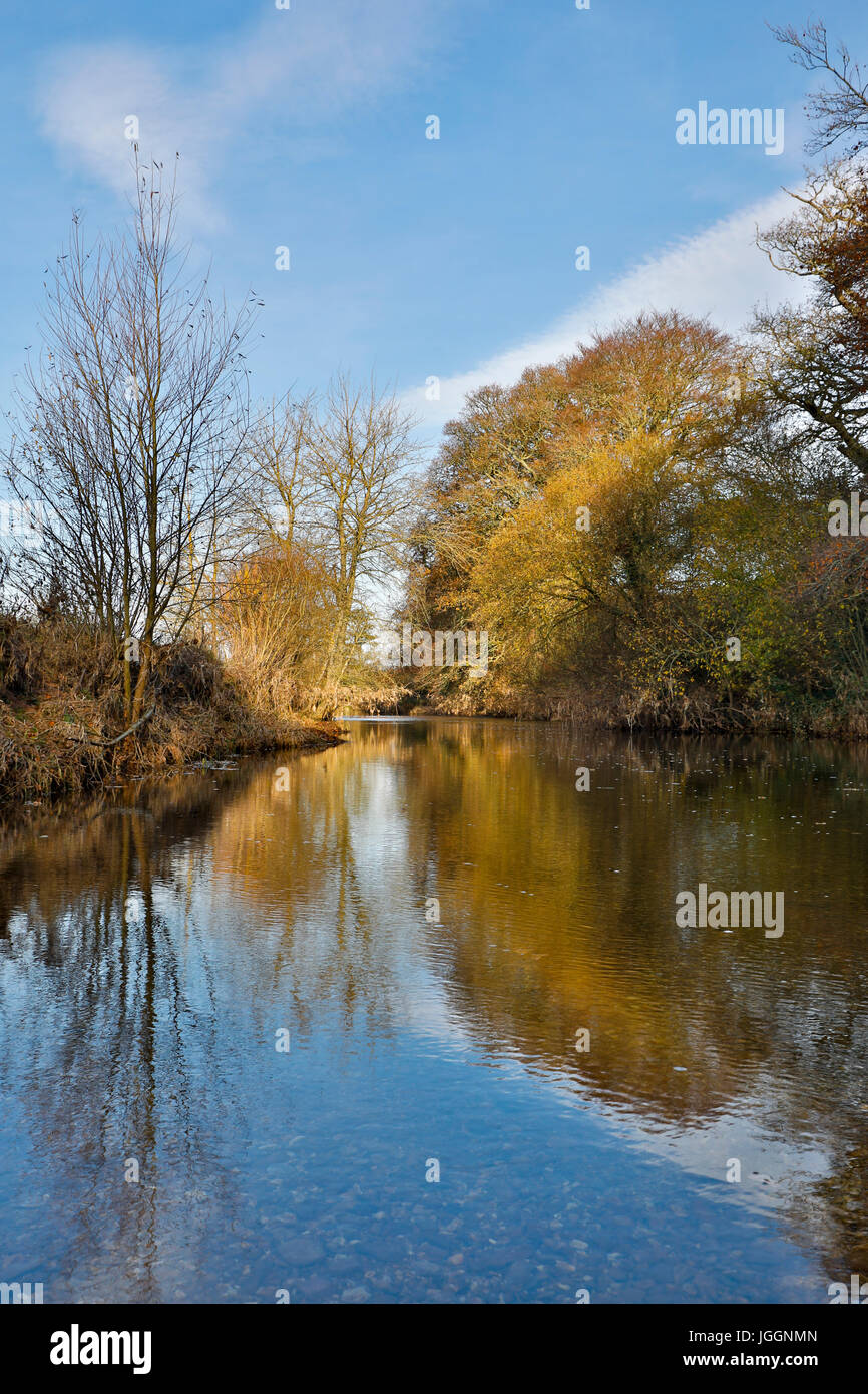 Devon river otter hi-res stock photography and images - Alamy