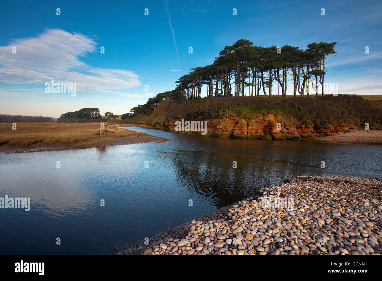 River otter devon hi-res stock photography and images - Alamy
