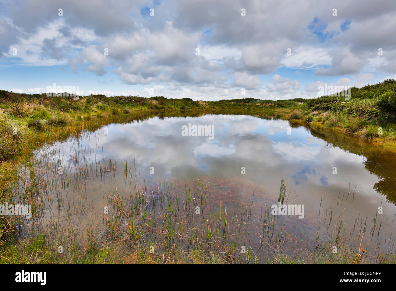 Windmill Farm; Nature Reserve; Cornwall; UK Stock Photo - Alamy