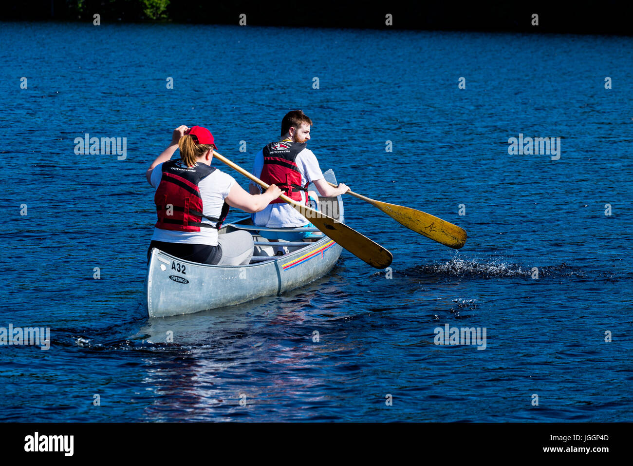 Algonquin Provincial Park Ontario Canada. Canoeing on Opeongo Lake ...
