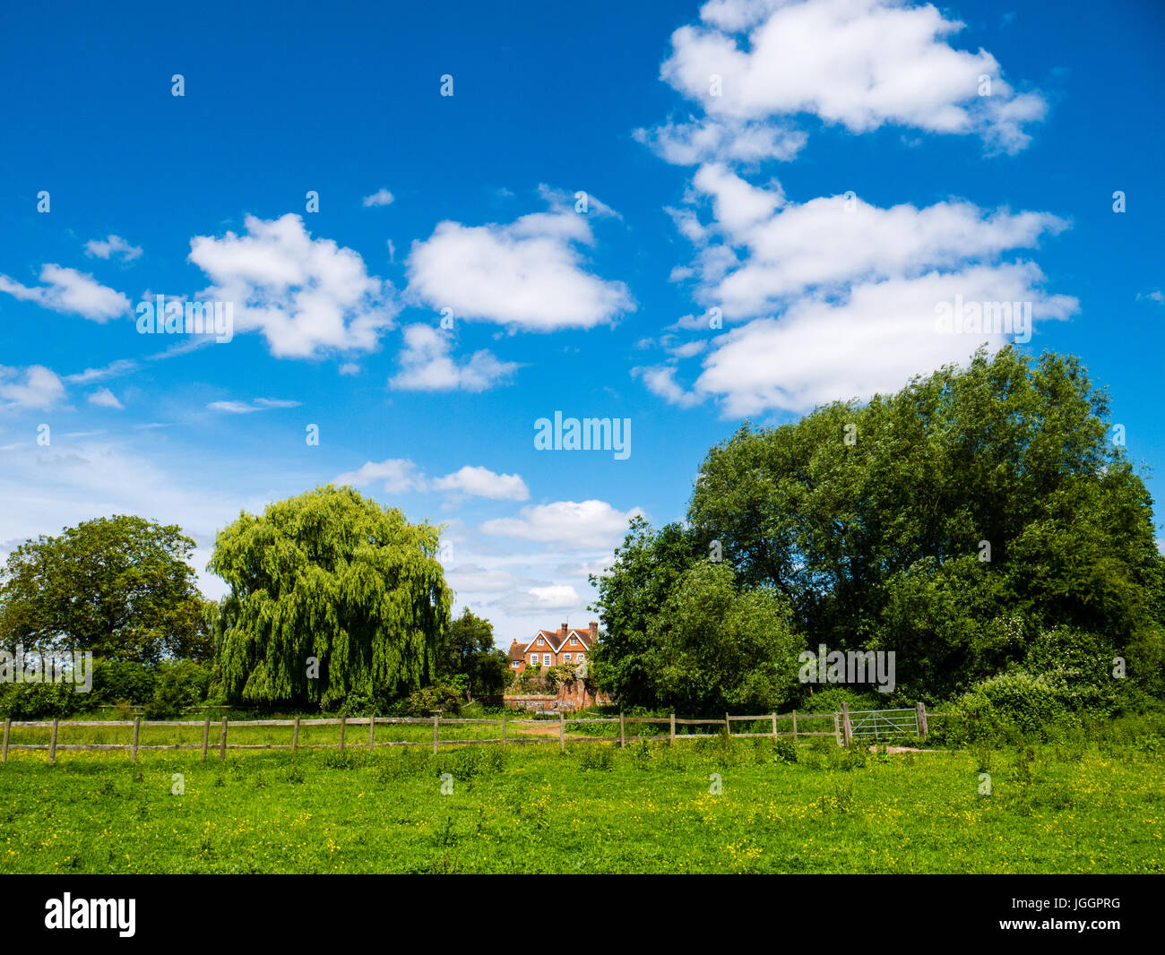 Farmland, Thames Path, Goring-on-Thames, Oxfordshire, England, UK, GB ...