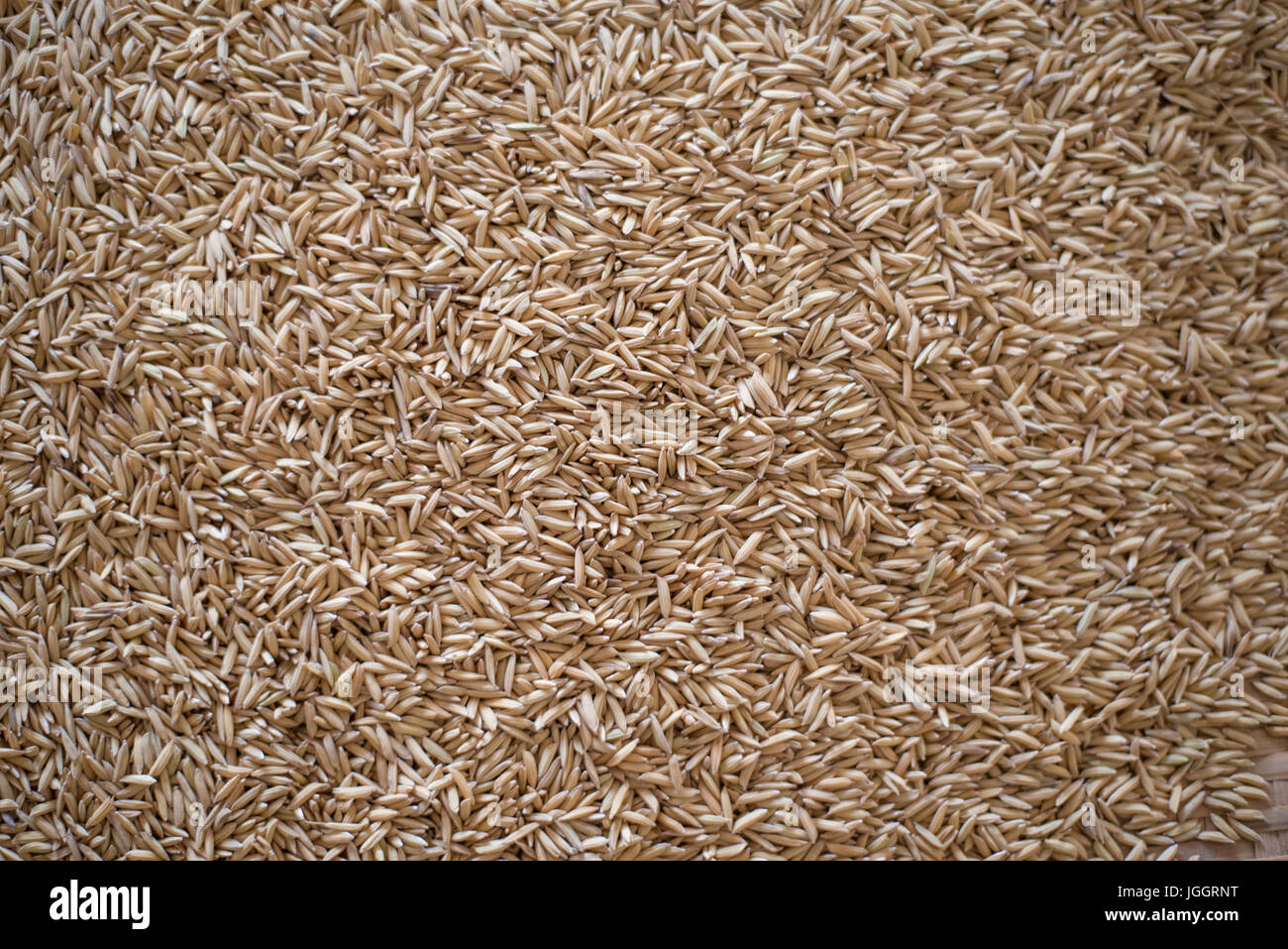 Rice hulls hi-res stock photography and images - Alamy