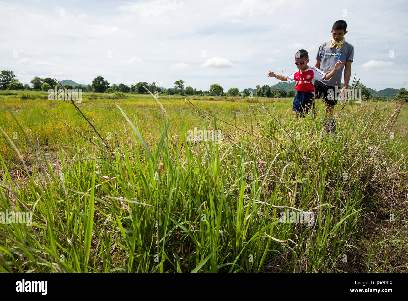 Children playing in rice field hi-res stock photography and images - Alamy