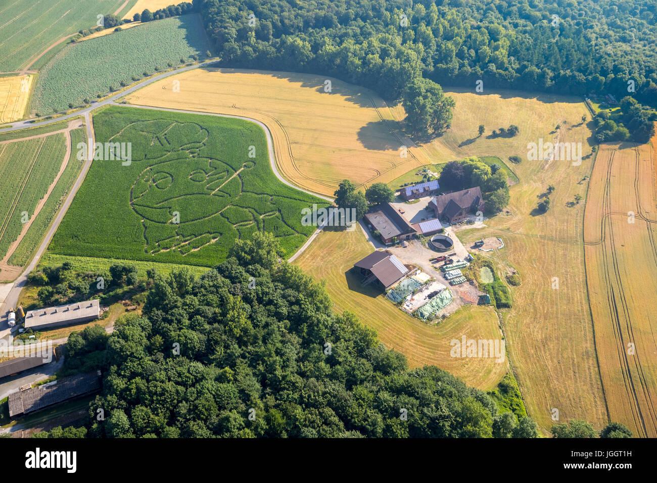 Exhaust gases hi-res stock photography and images - Alamy