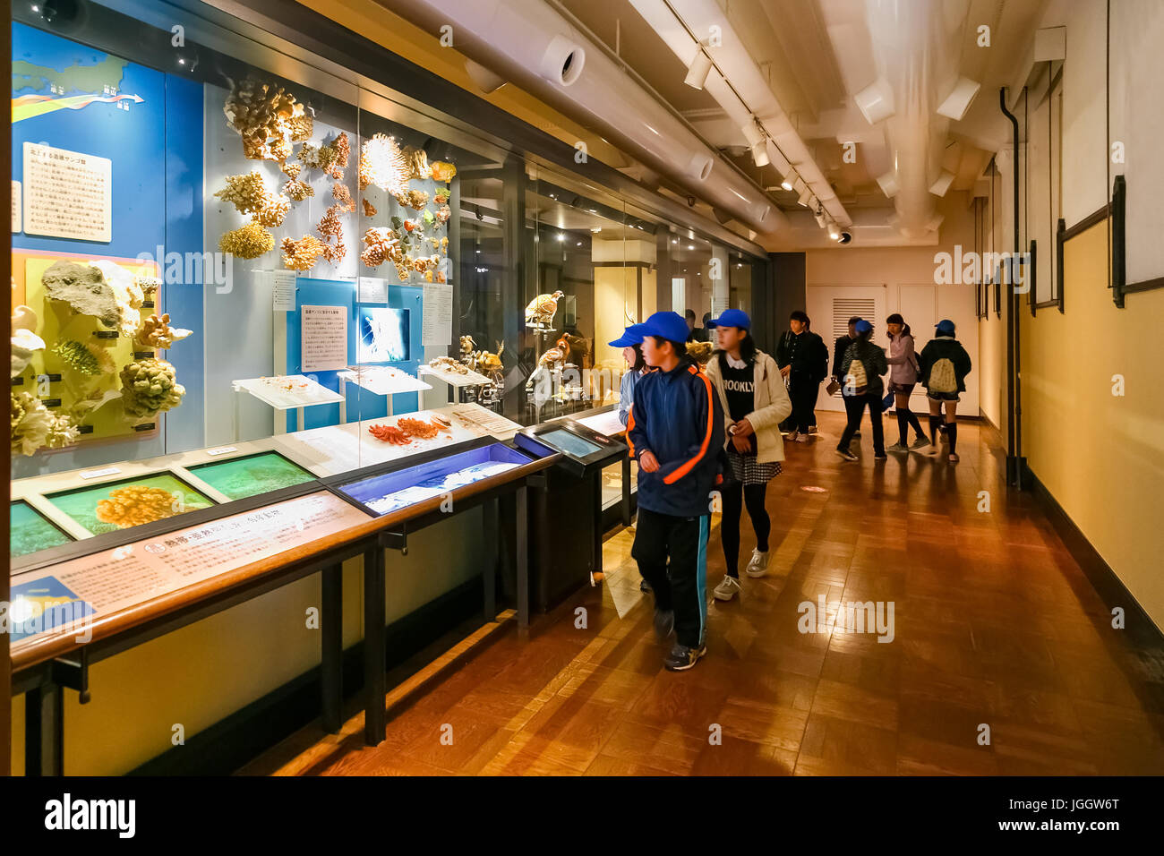 National Museum of Nature and Science in Tokyo, Japan Stock Photo - Alamy