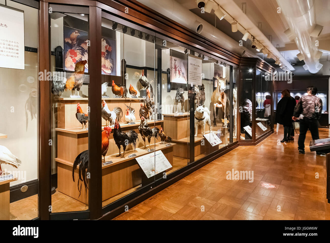 National Museum of Nature and Science in Tokyo, Japan Stock Photo - Alamy