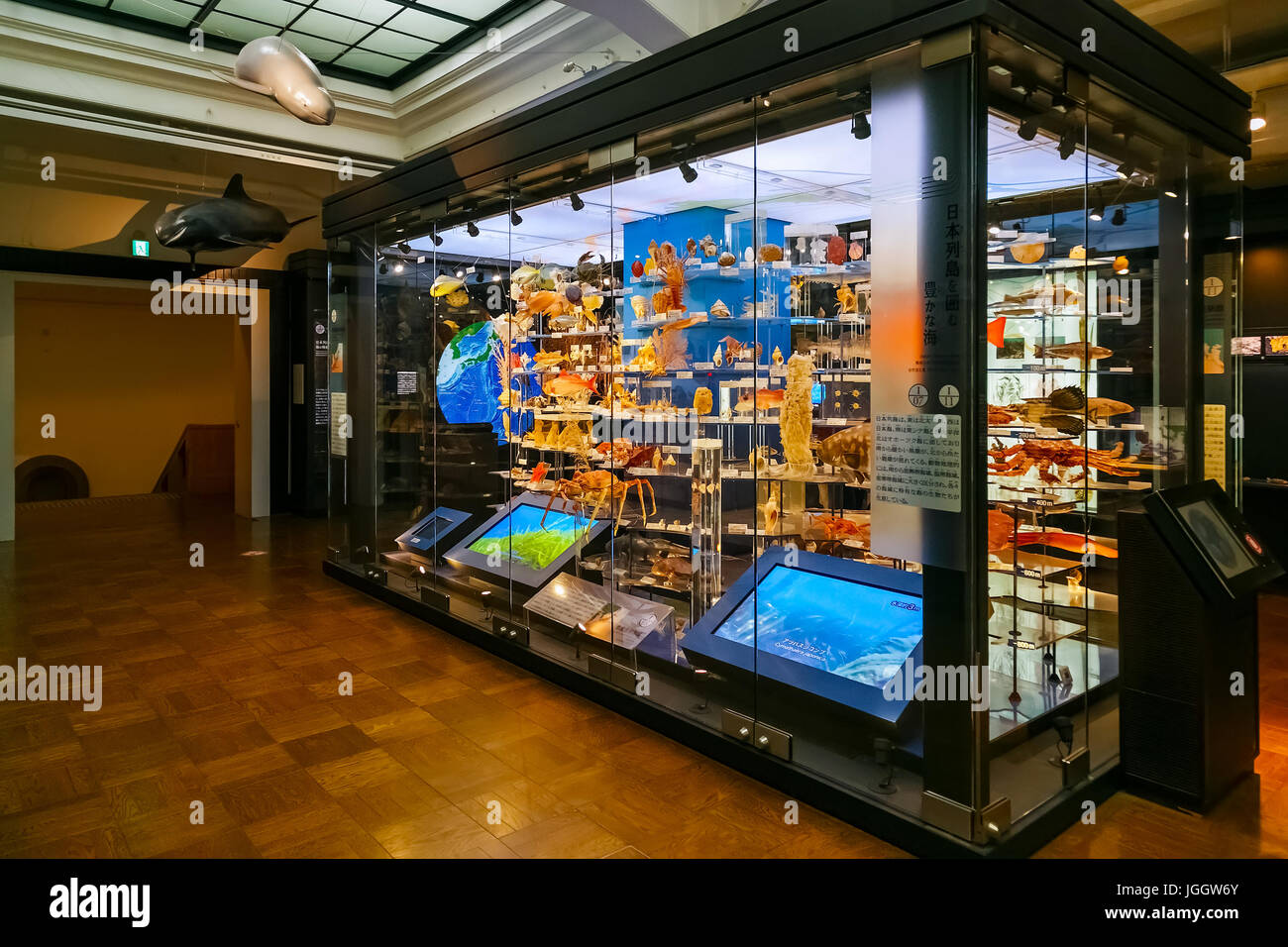 National museum of nature and science in tokyo hi-res stock photography ...