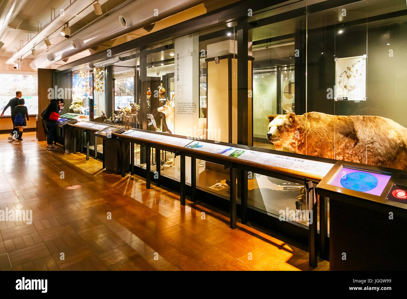 National Museum of Nature and Science in Tokyo, Japan Stock Photo - Alamy