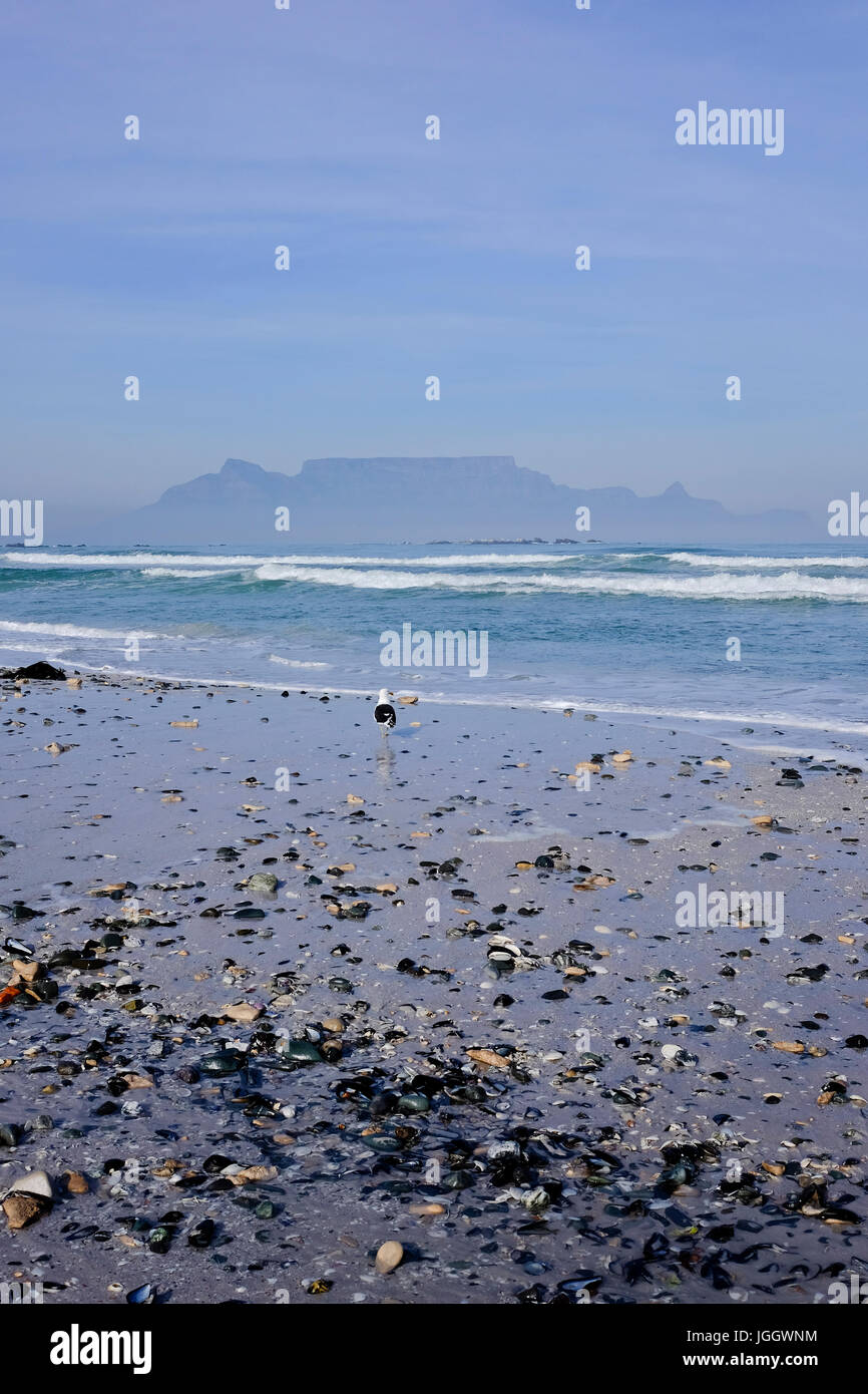 Cape Town,South Africa. Smog covers the lower reaches of Table Mountain ...