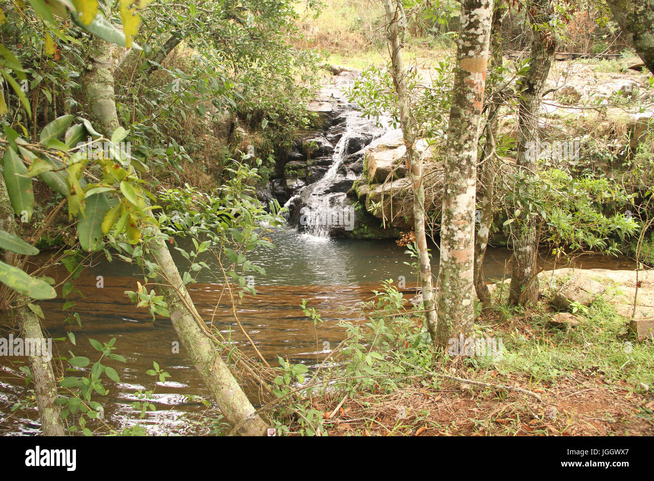 Well water, waterfall, 2016, Park Ecológico Quedas do Rio Bonito ...