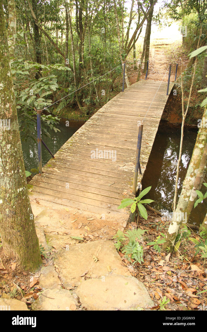 Wood bridge, 2016, Park Ecológico Quedas do Rio Bonito, Lavras, Minas ...