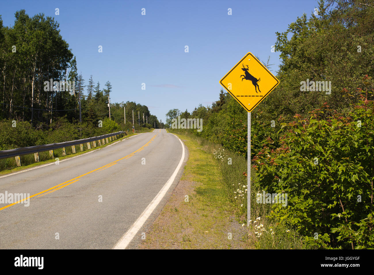 Deer crossing sign on rural highway Stock Photo - Alamy