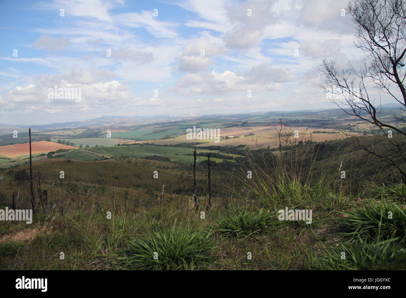 Landscape, Highway MGC 354, 2016, Lavras, Minas Gerais, Brazil Stock ...