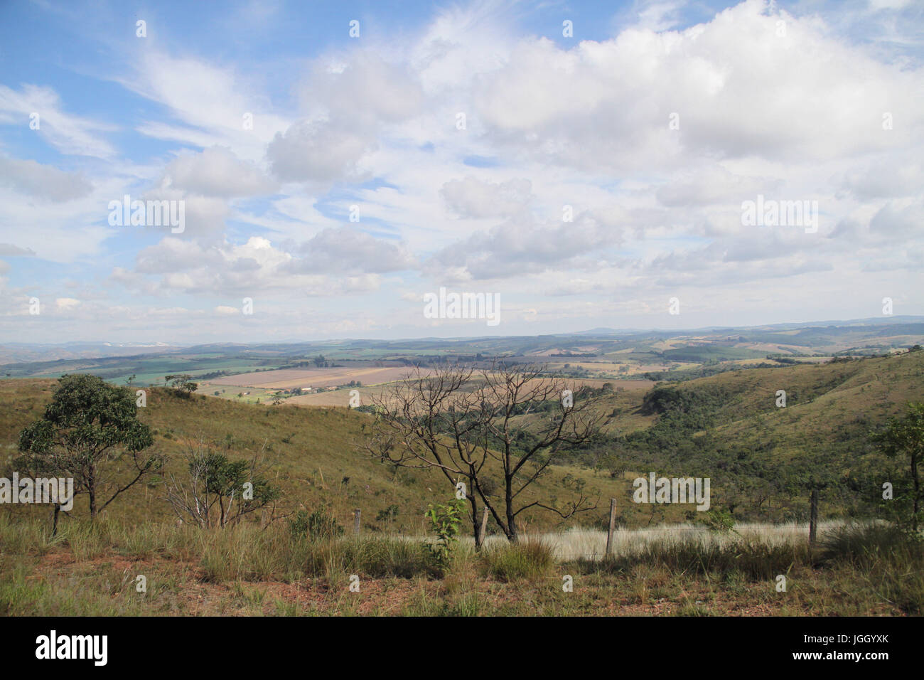 Landscape, Highway MGC 354, 2016, Lavras, Minas Gerais, Brazil Stock ...
