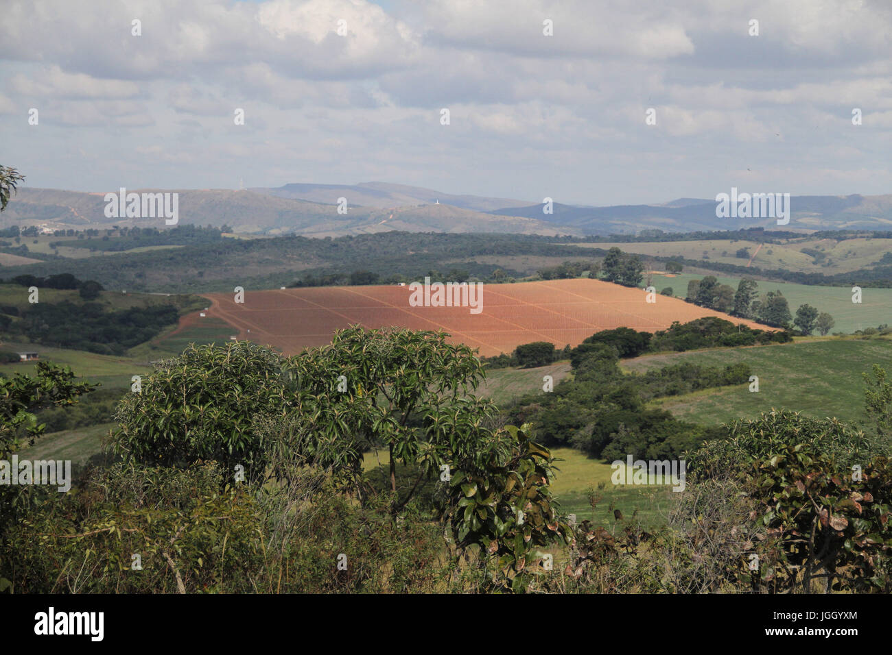 Highway planting hi-res stock photography and images - Alamy