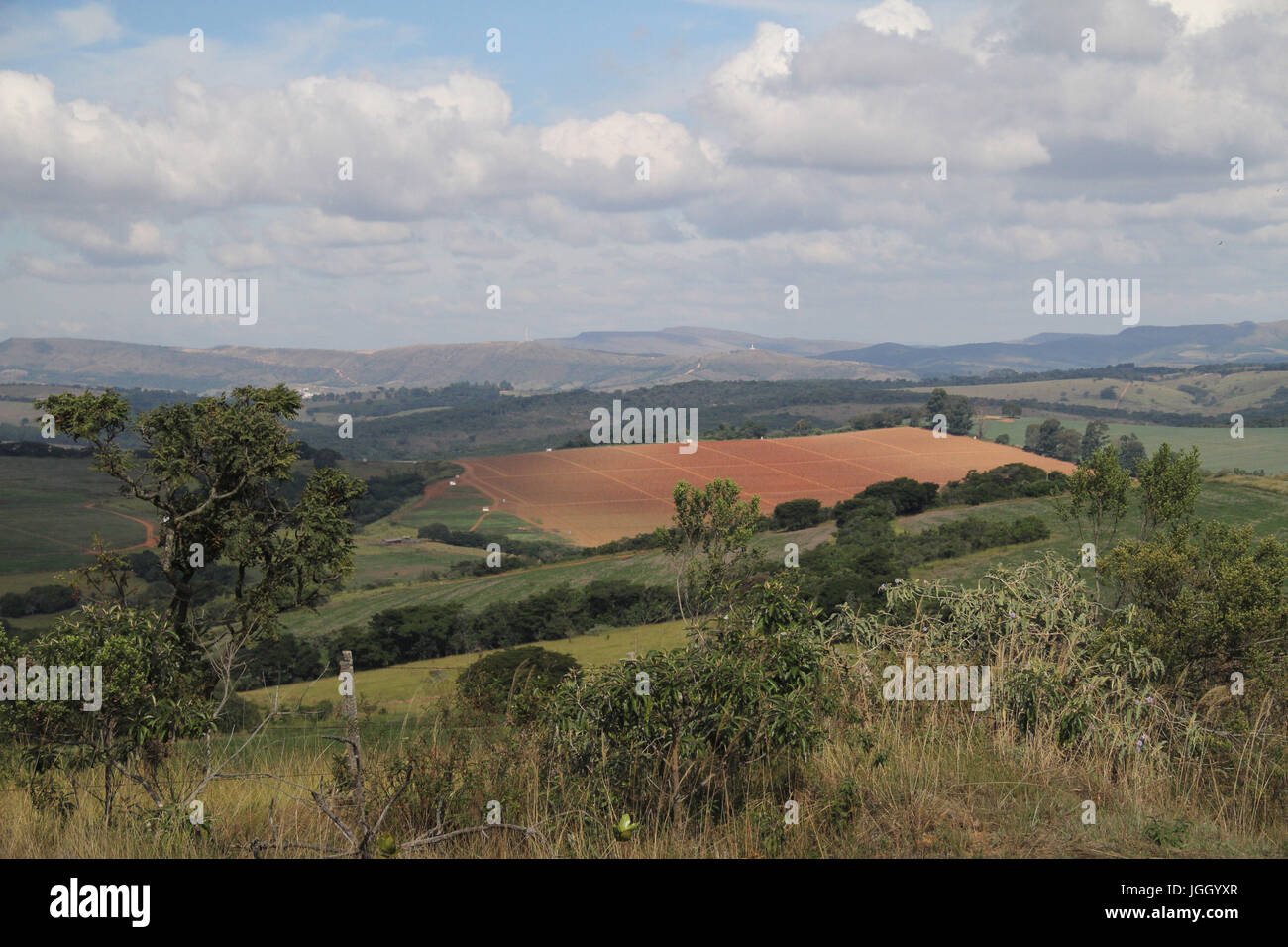 Highway planting hi-res stock photography and images - Alamy