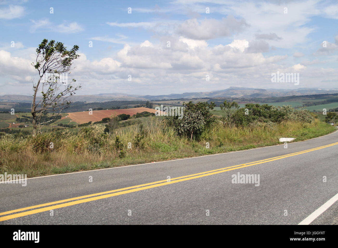 Highway planting hi-res stock photography and images - Alamy