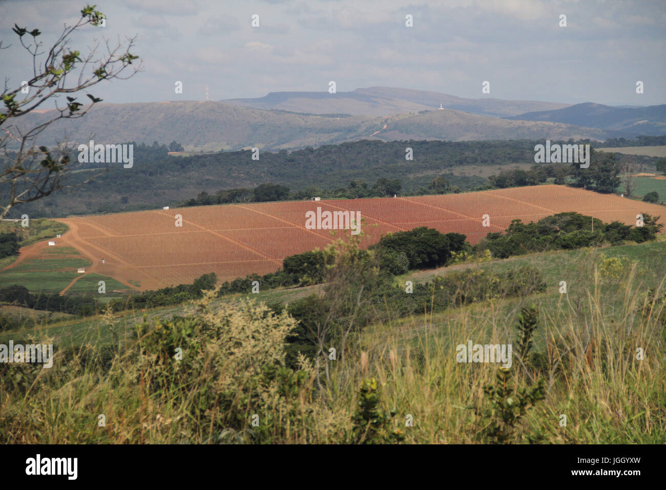 Highway planting hi-res stock photography and images - Alamy