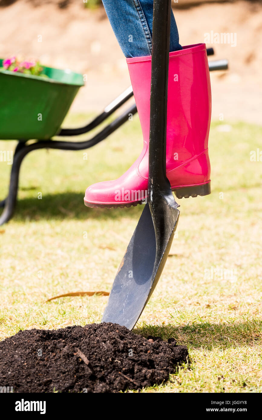Low section of woman in rubber boot with shovel at lawn on sunny day ...