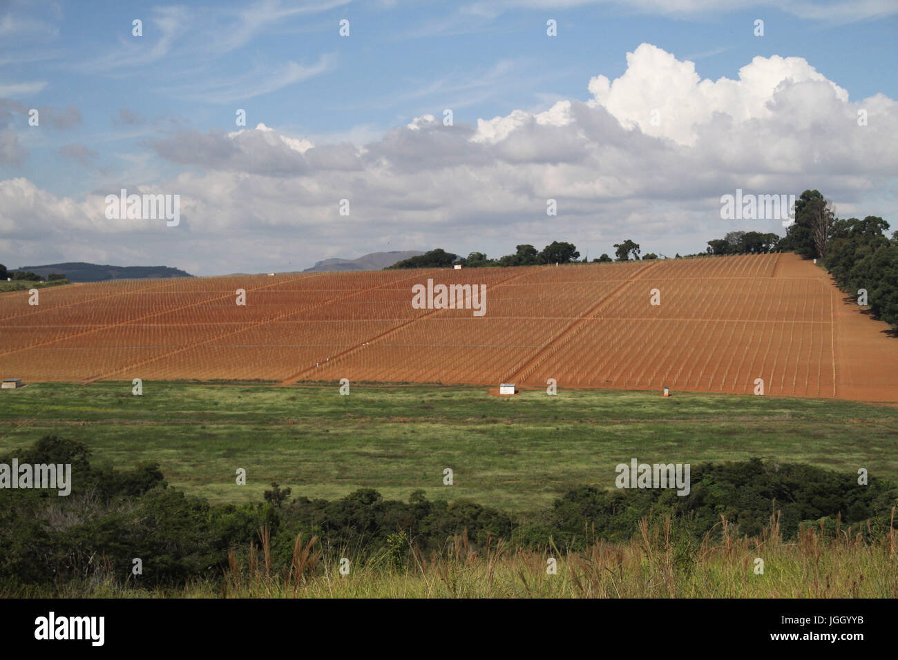 Highway planting hi-res stock photography and images - Alamy