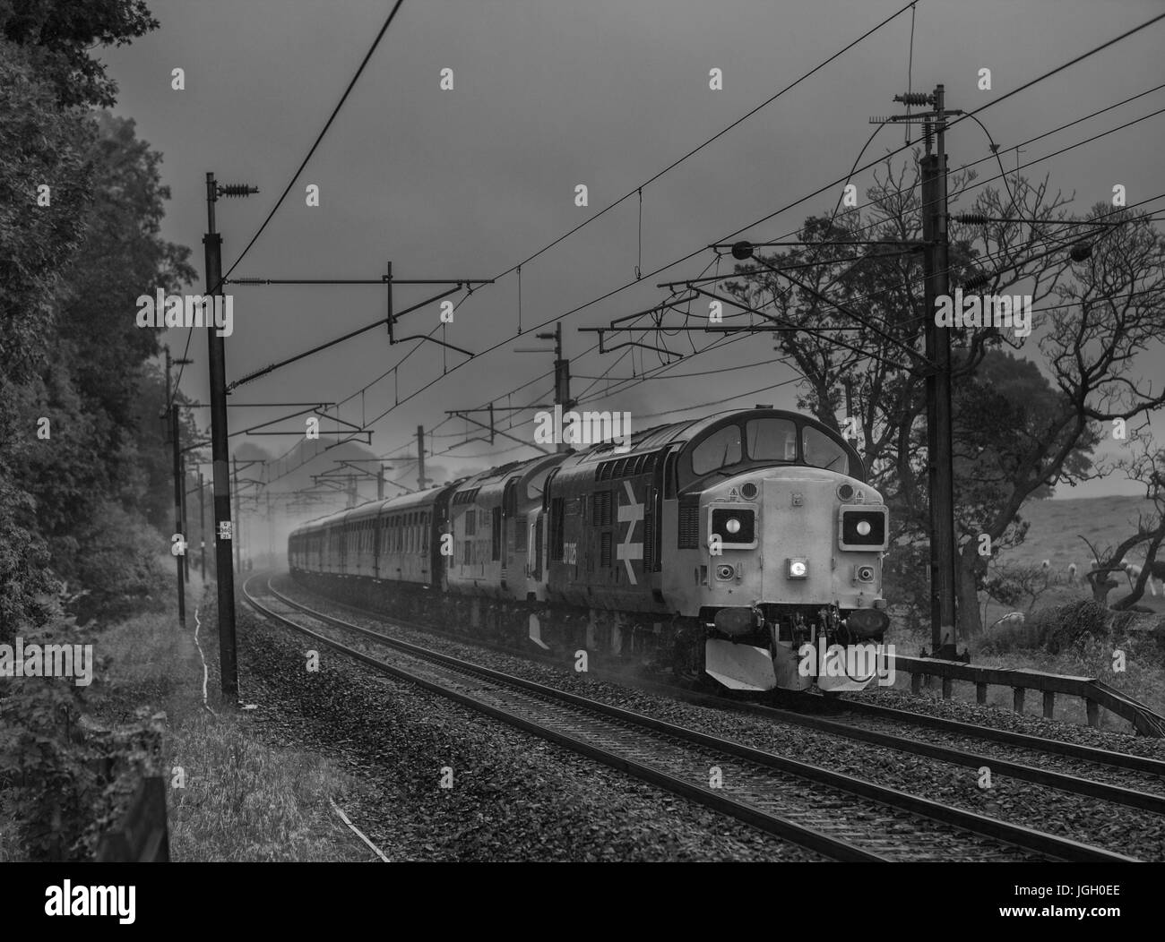 British rail class 37 diesel electric locomotive Black and White Stock ...