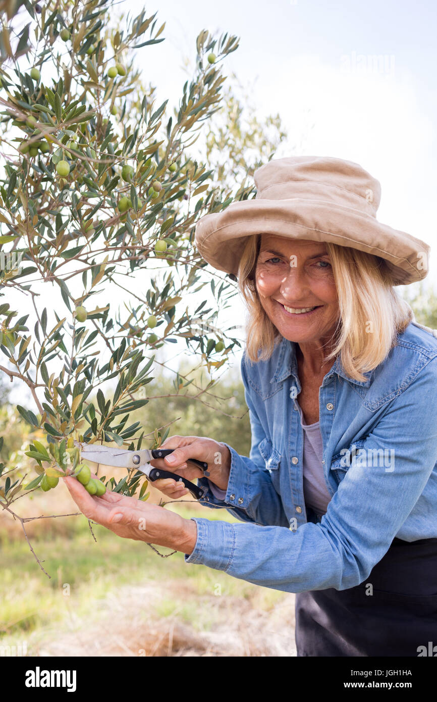 Woman pruning tree hi-res stock photography and images - Alamy