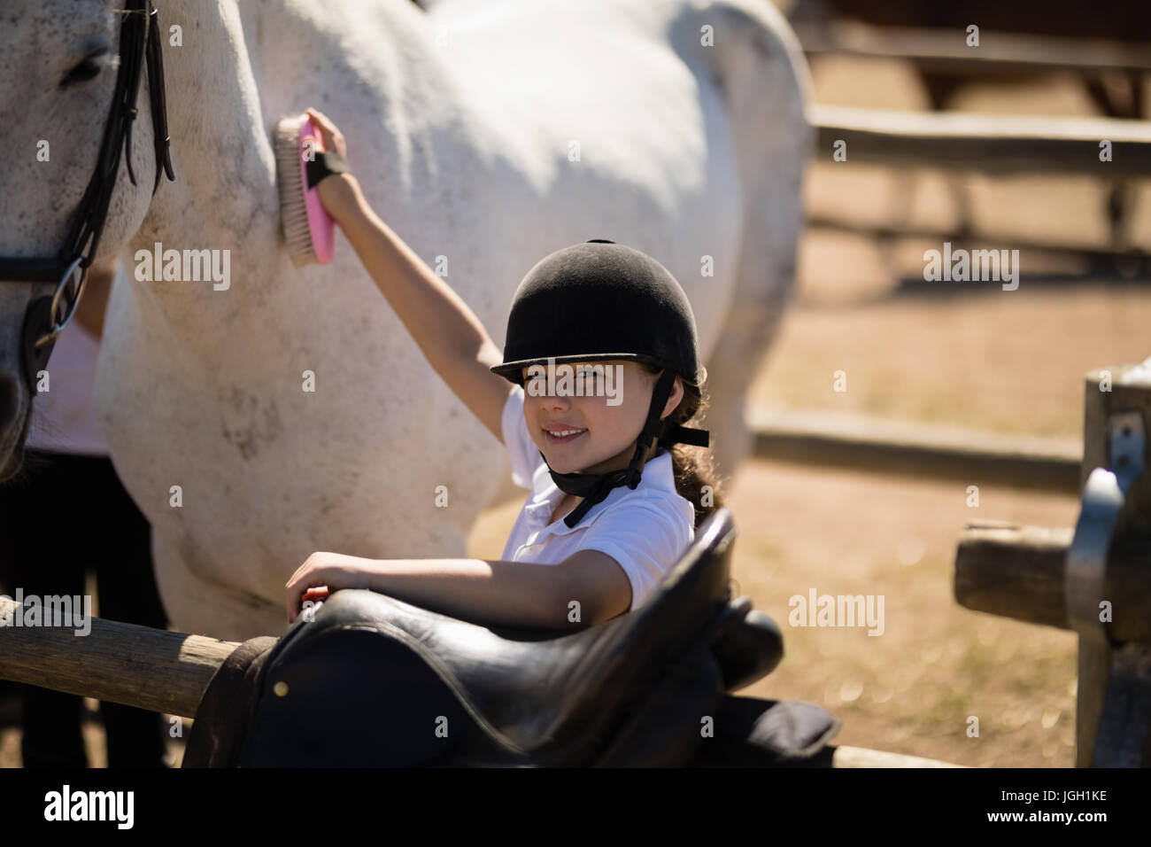 Child Grooming Pony High Resolution Stock Photography and Images - Alamy