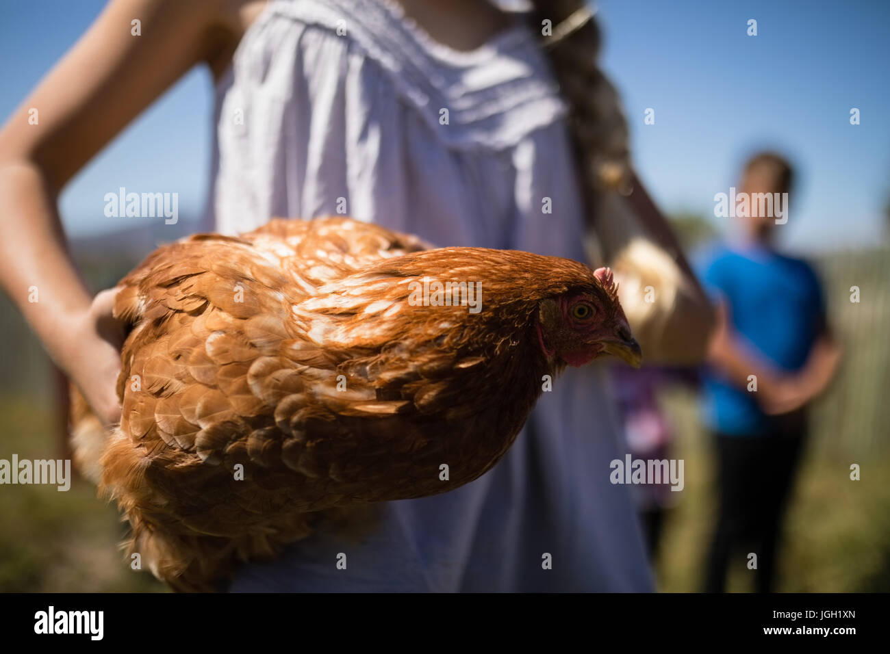 Girl carrying hen hi-res stock photography and images - Alamy