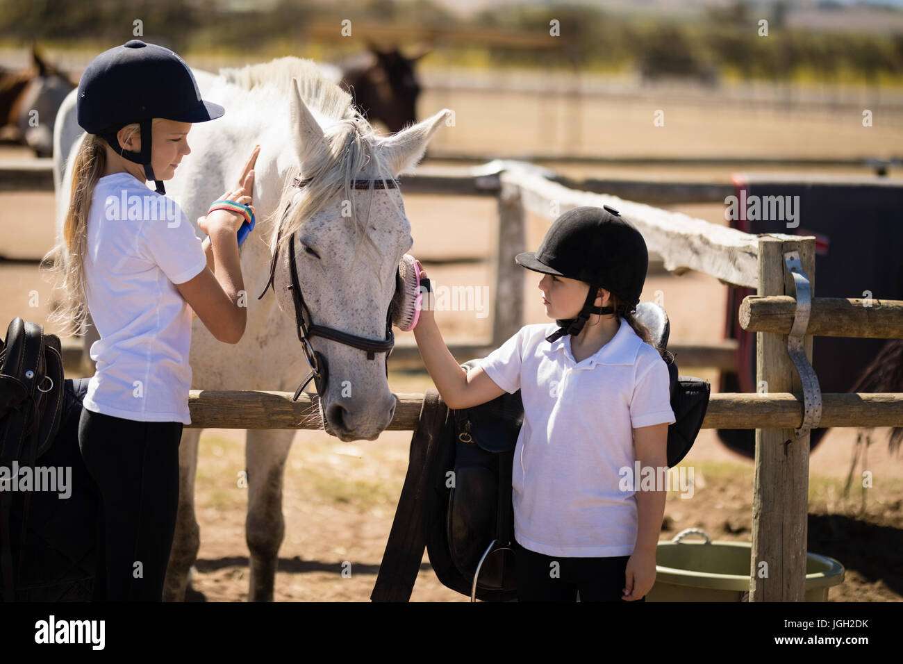 Child Grooming Pony High Resolution Stock Photography and Images - Alamy