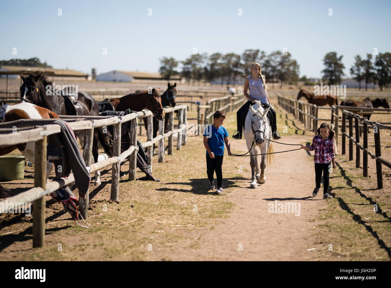 Kids riding a horse in the ranch on a sunny day Stock Photo - Alamy