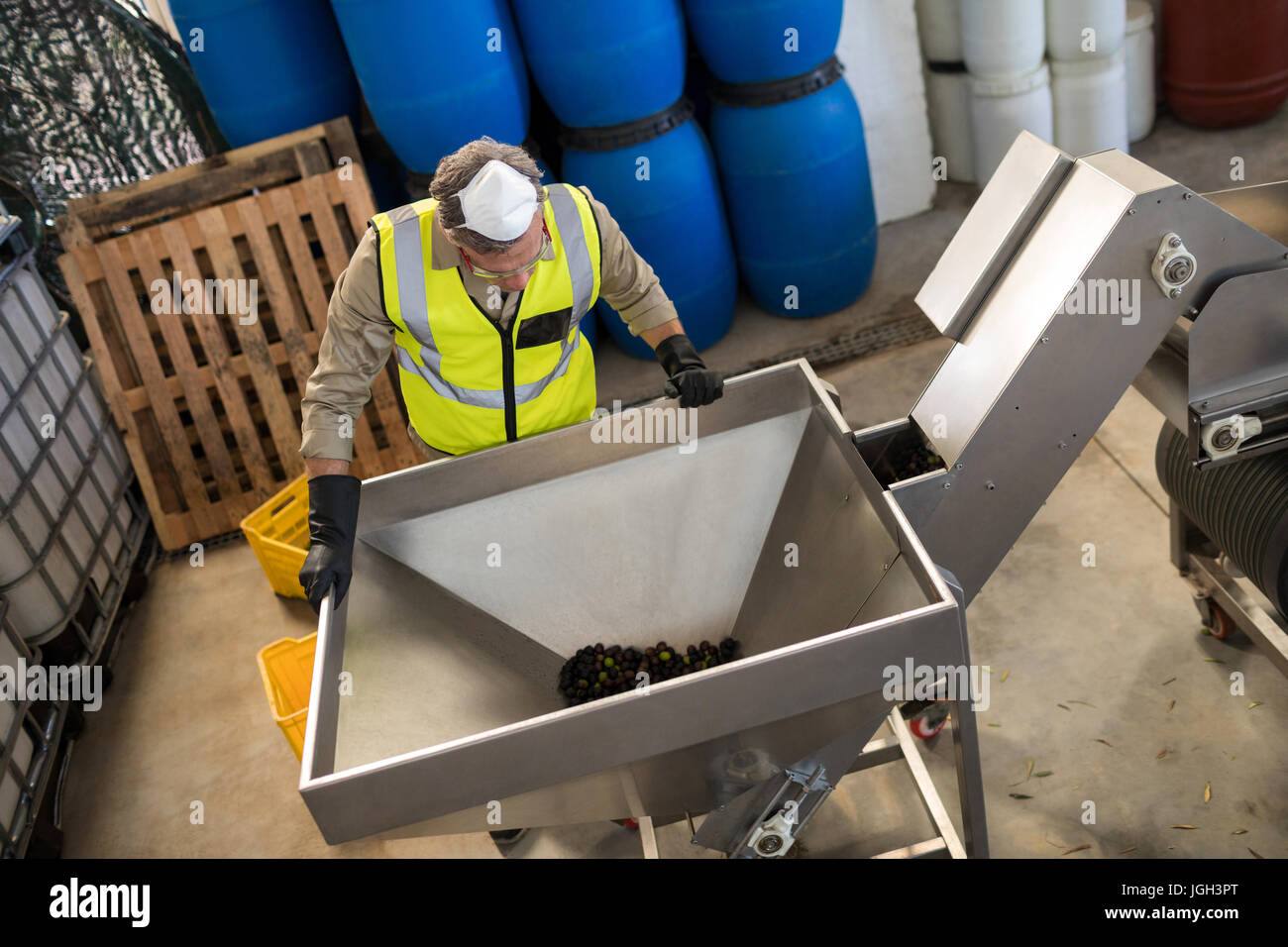 Worker processing olives in machine at factory Stock Photo - Alamy