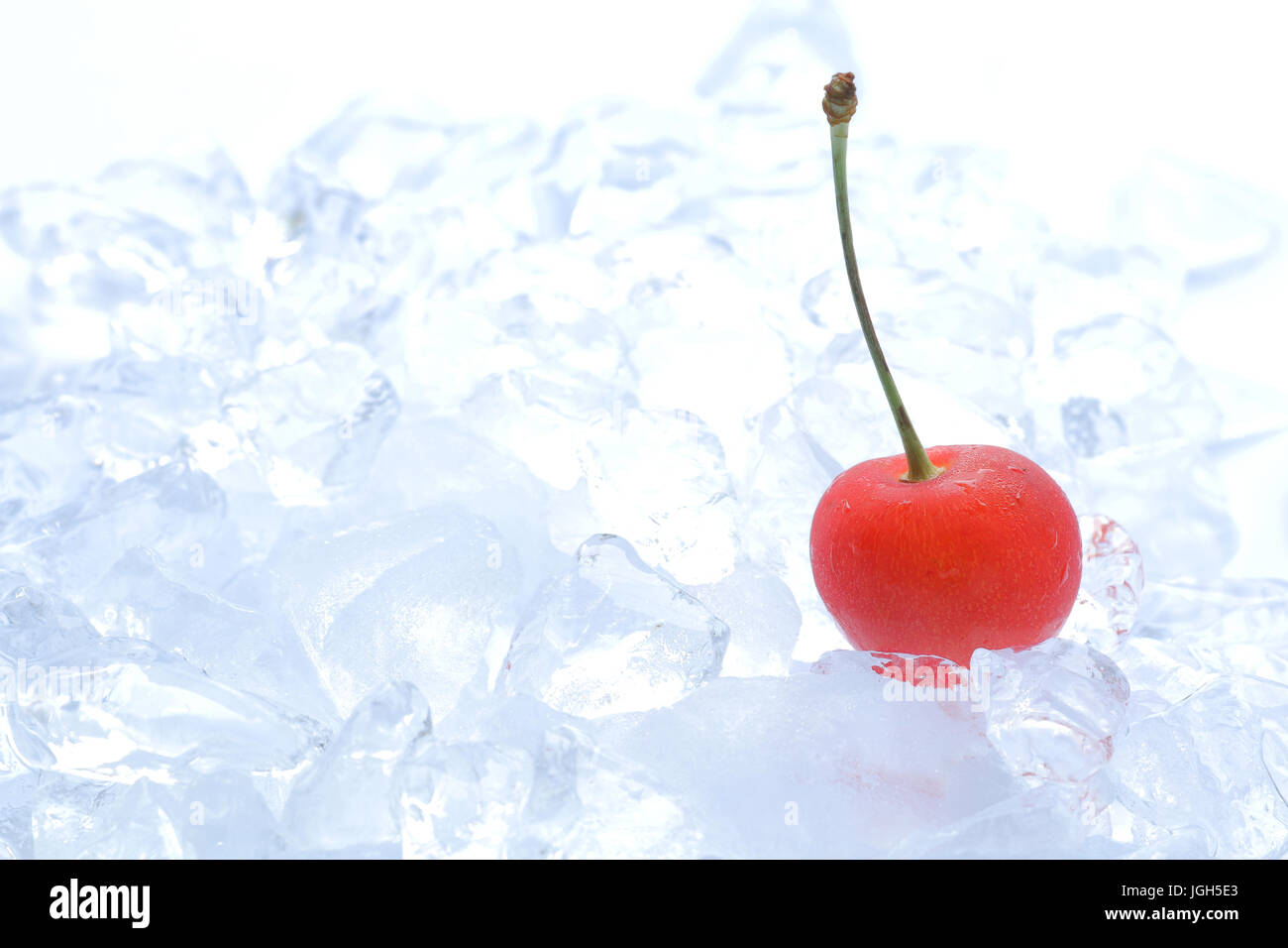 Japanese cherry fruit on ice Stock Photo - Alamy