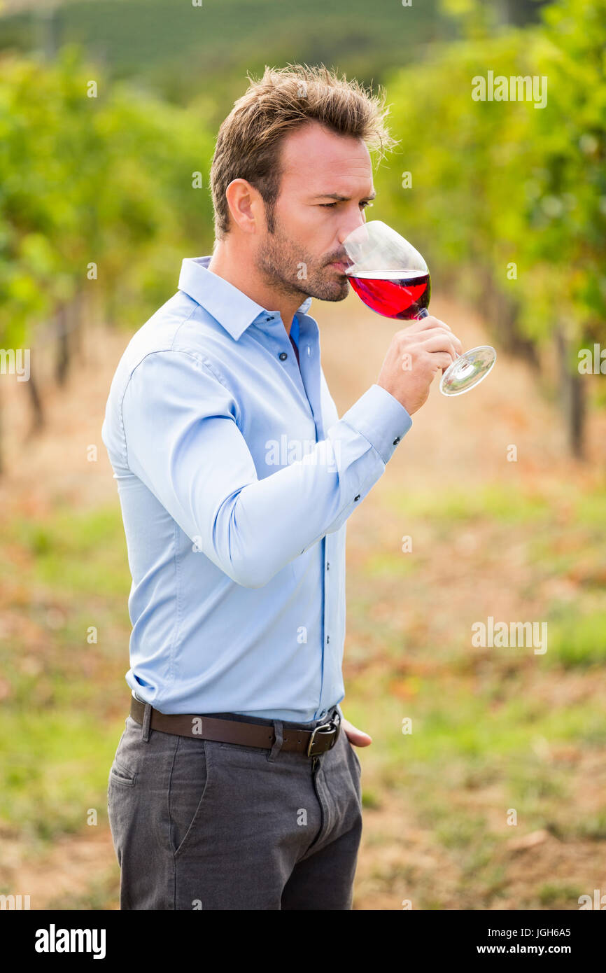 Young man drinking red wine while standing at vineyard Stock Photo - Alamy