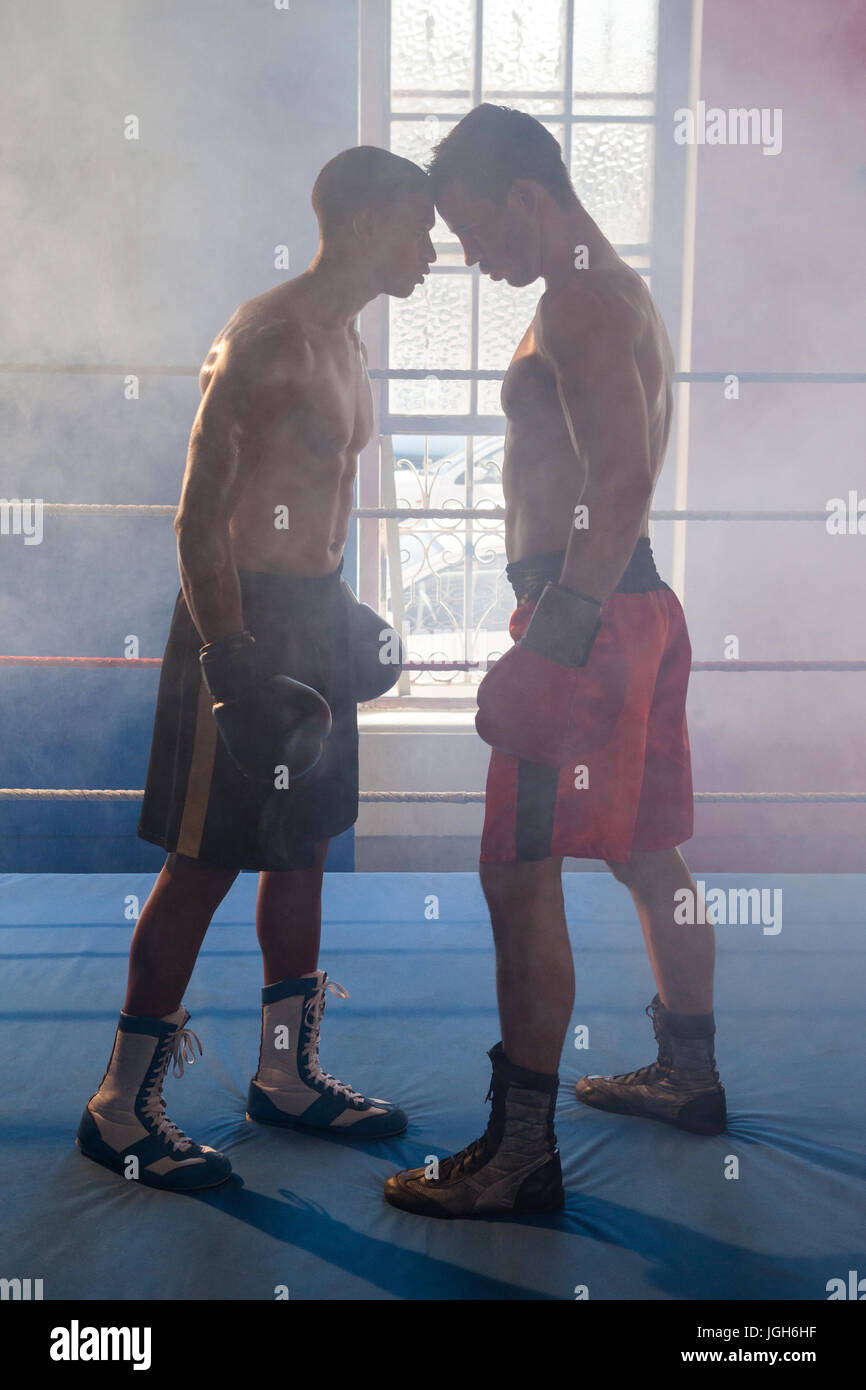Boxer standing face to face in boxing ring at fitness studio Stock ...