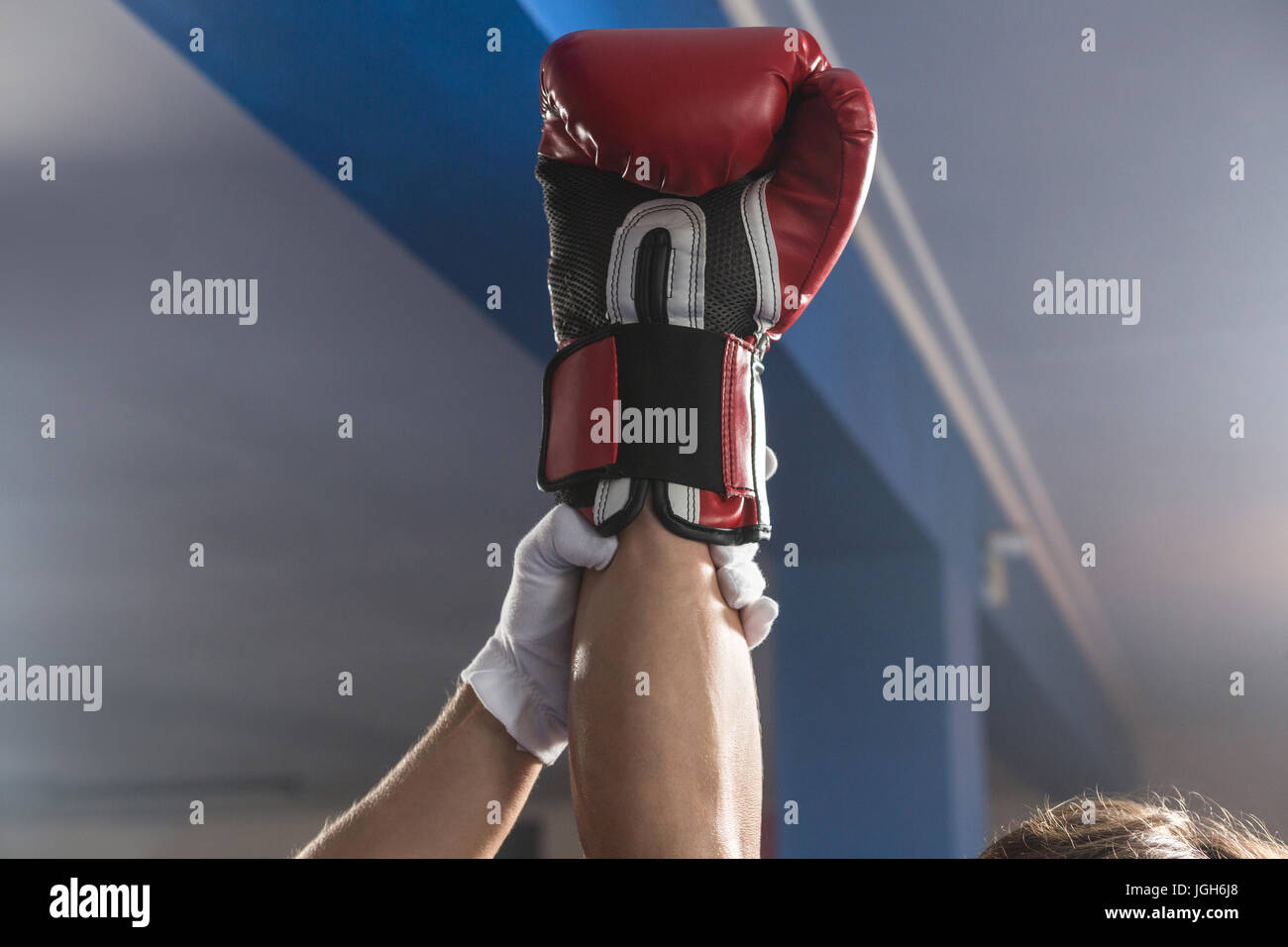 Standing winning boxing ring competition hand raised holding hi-res ...