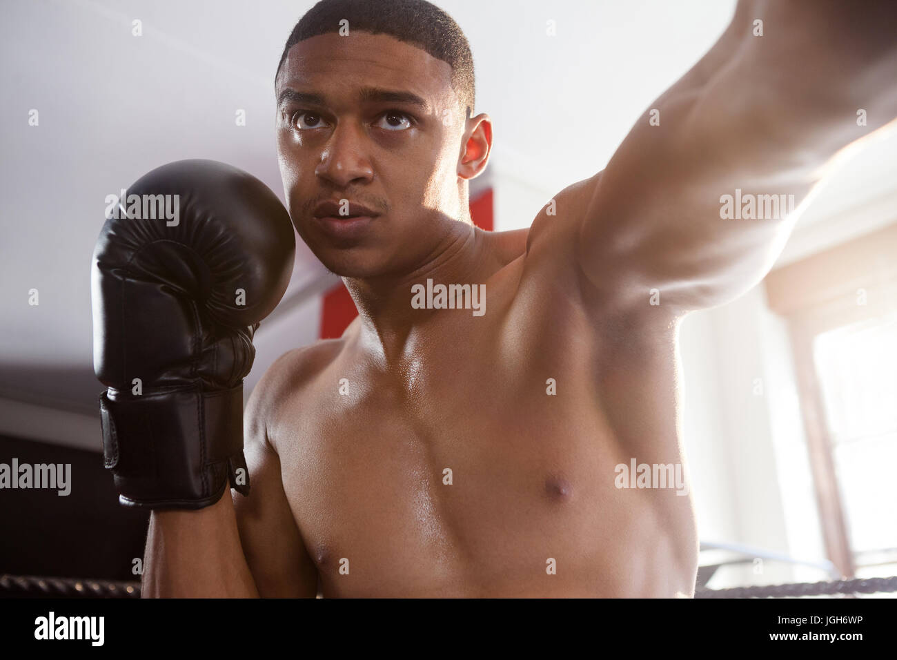 Man Boxing Gloves Sitting High Resolution Stock Photography and Images ...