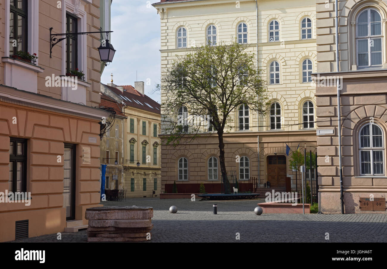 Street in the historical center of the city of Timisoara in Romania ...