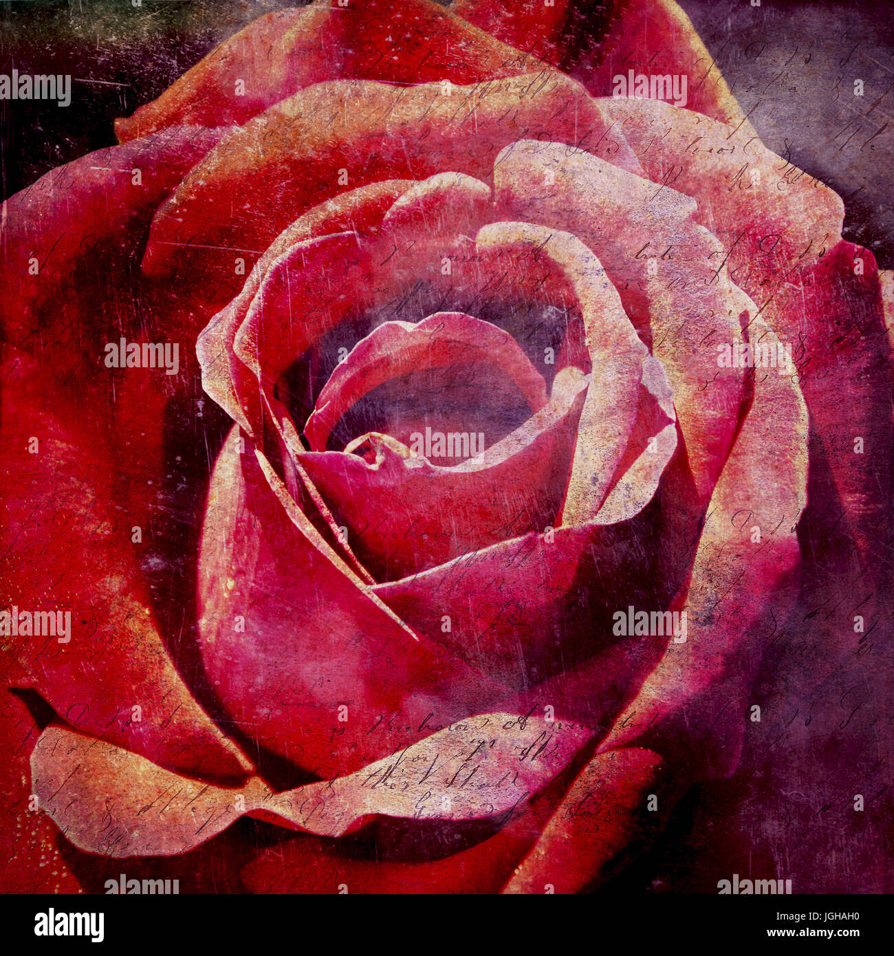 Vintage grunge textured red rose Stock Photo - Alamy