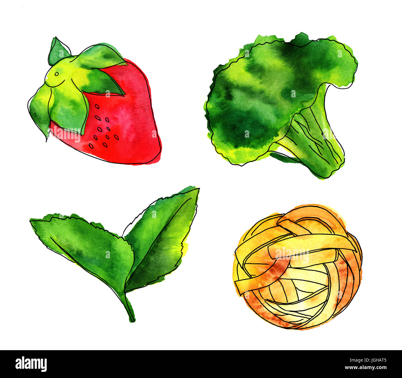 Set of watercolour vegan food themed drawings. Leaves of mint ...
